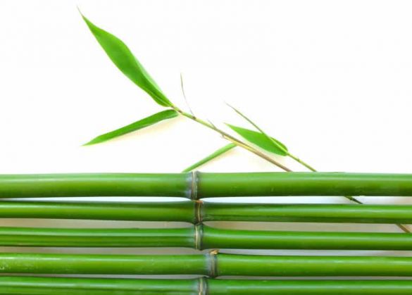 Green Material: The Designers Guide To Green Sustainable Materials ...